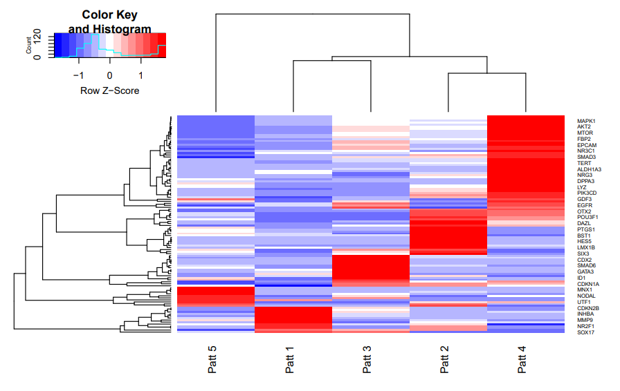NMF Projection | projectR